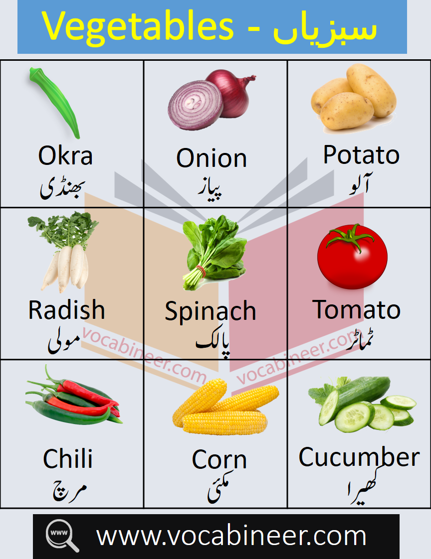 Vegetables Name In Urdu And English With Pictures Vegetables Name In Urdu And English With Pictures