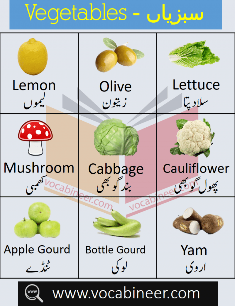 Vegetables Names in Urdu and English with Pictures