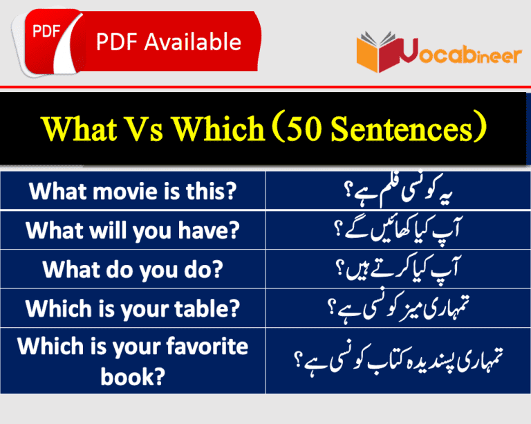 What Vs Which Using 50 Sentences | Wh Question Words