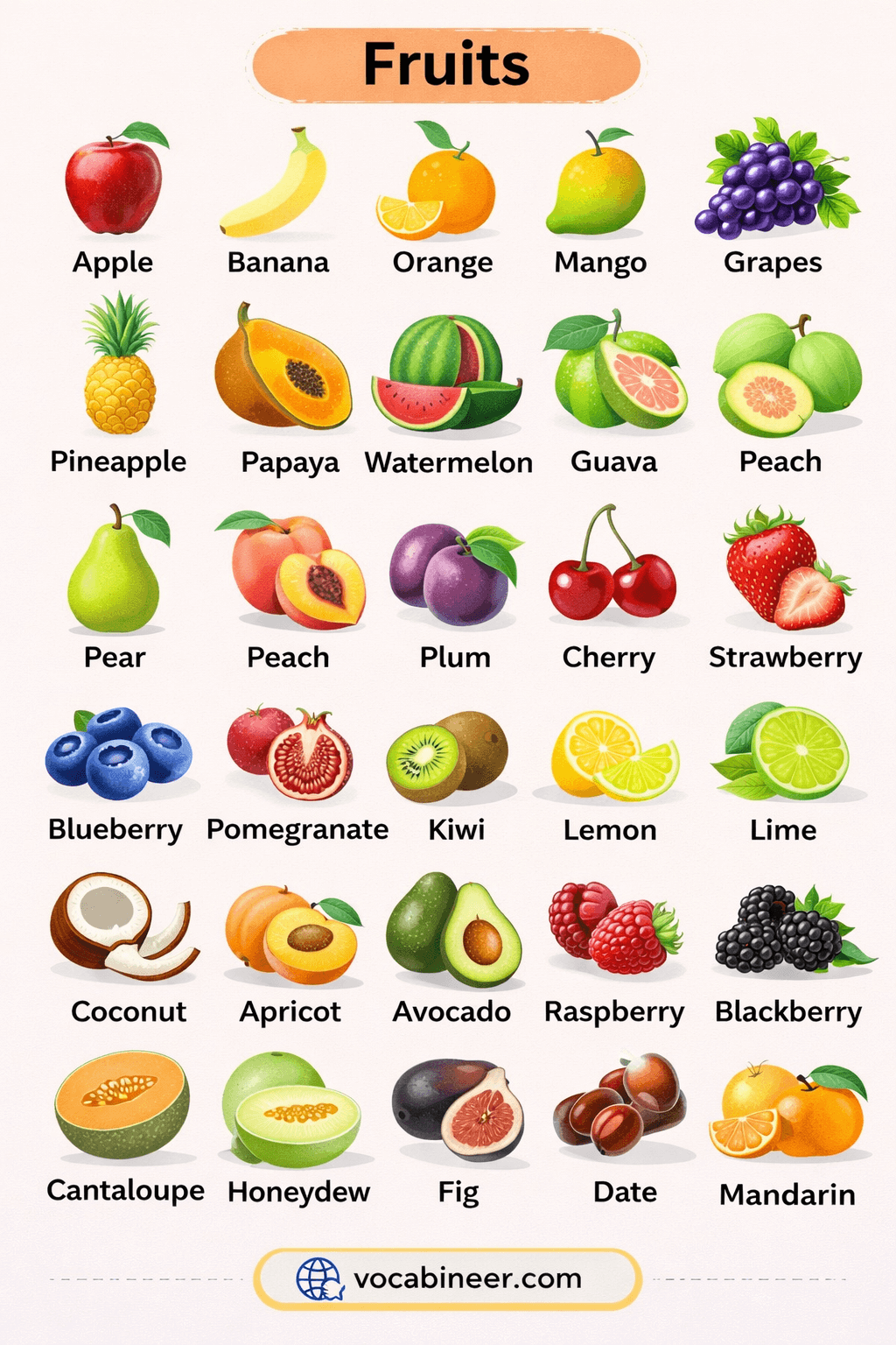 100+ Fruits Names in English with their Pictures