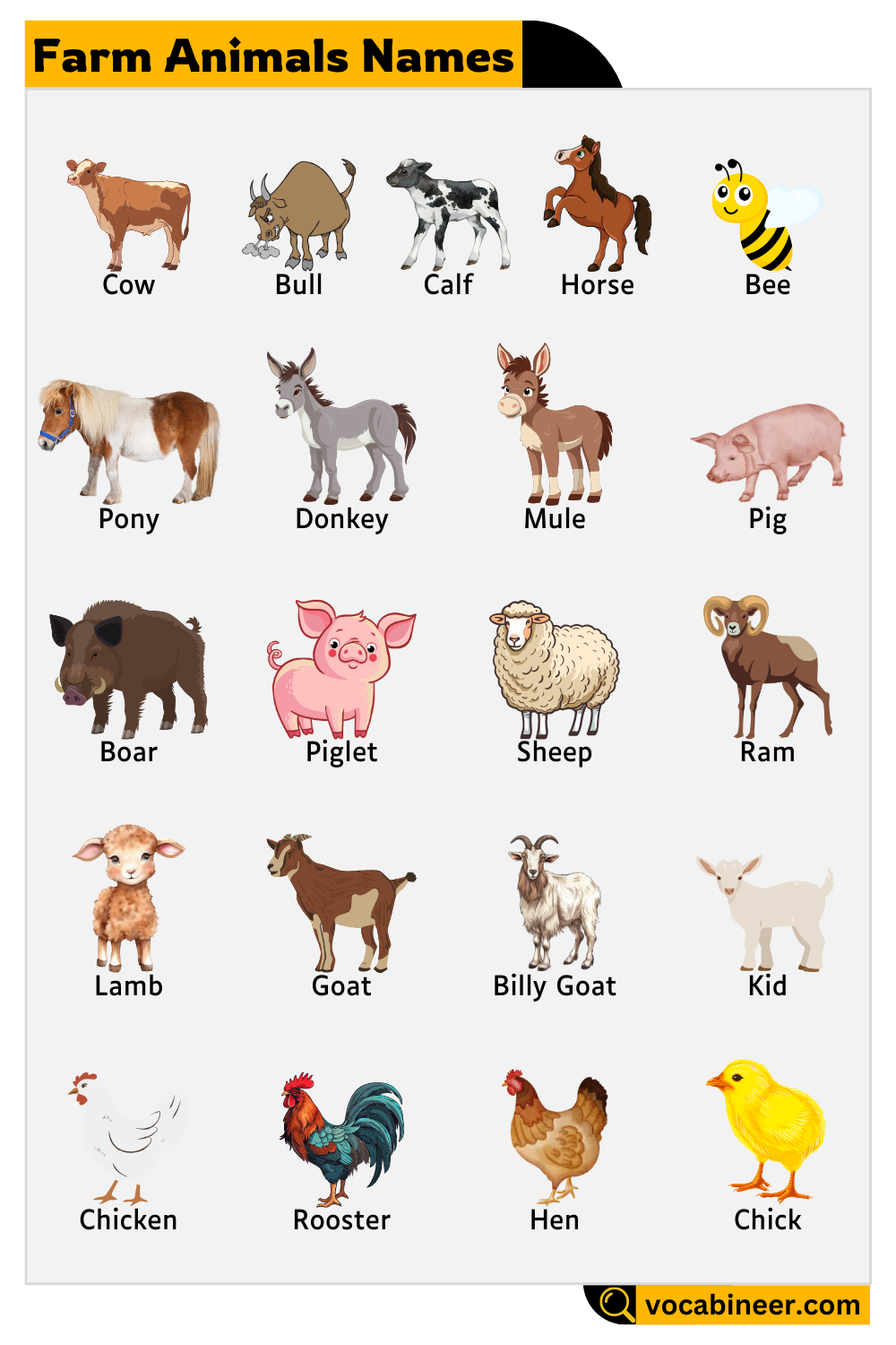 Farm Animals Name In English With Pictures Farm Animals Name In English With Pictures