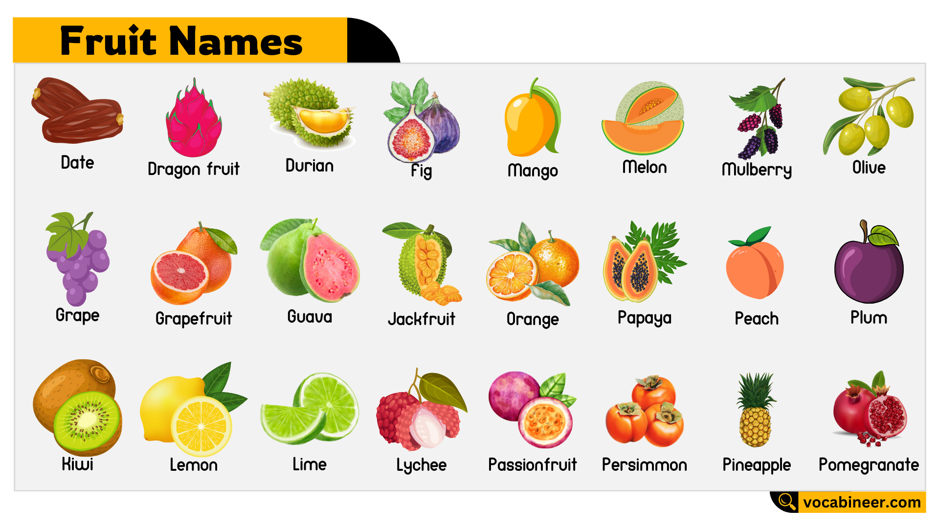 100+ Fruits Names in English and their Pictures