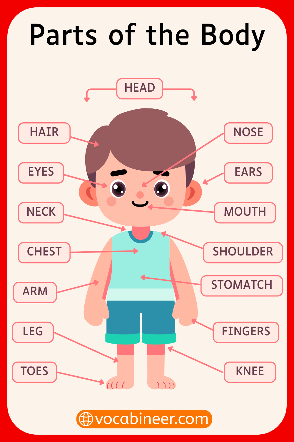 Human Parts of Body Names with their Pictures