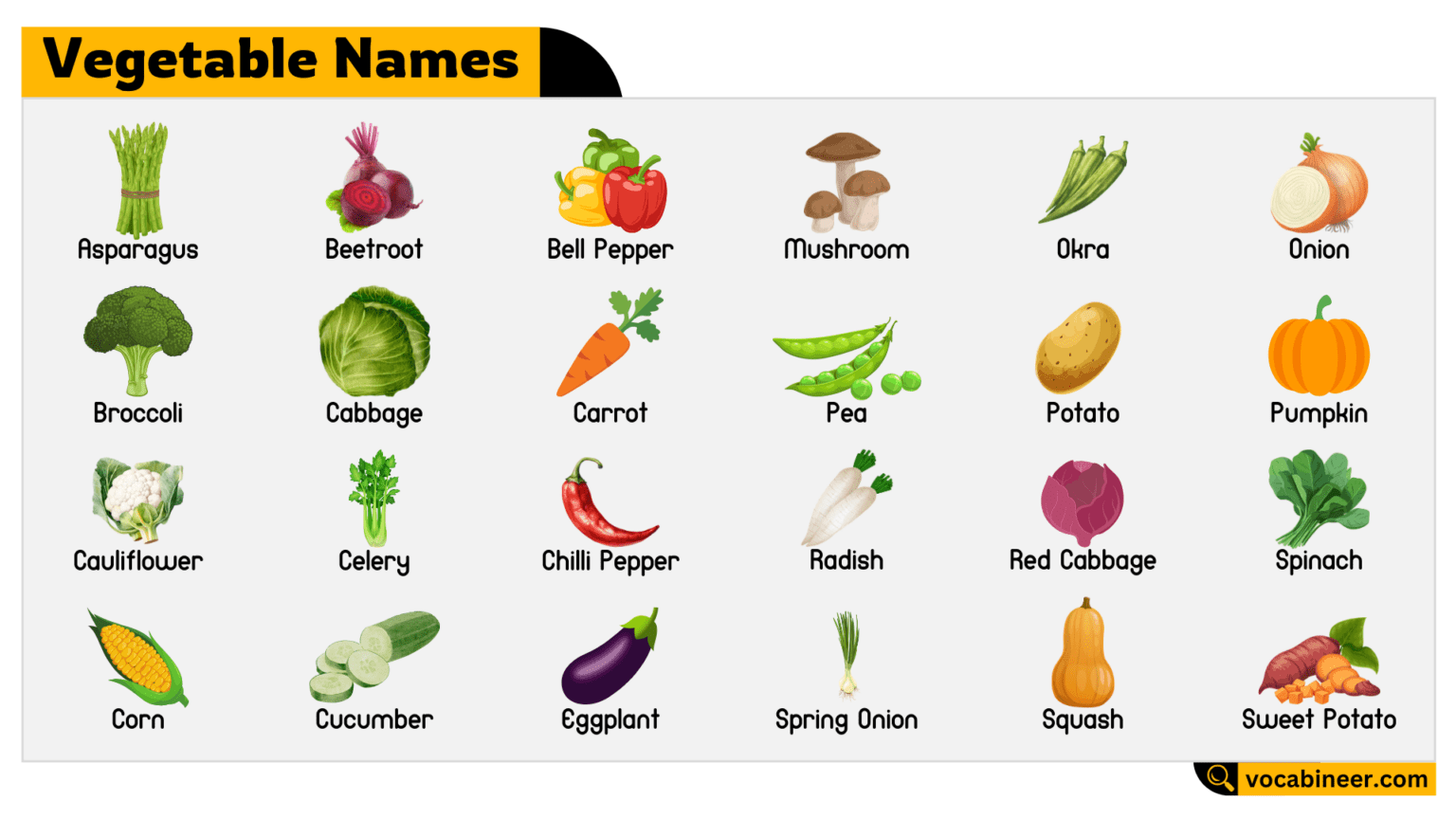 Vegetable Names – Learn Vegetables Visually in English