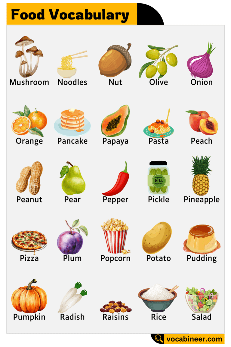 Food Names in English with Their Pictures • Vocabineer