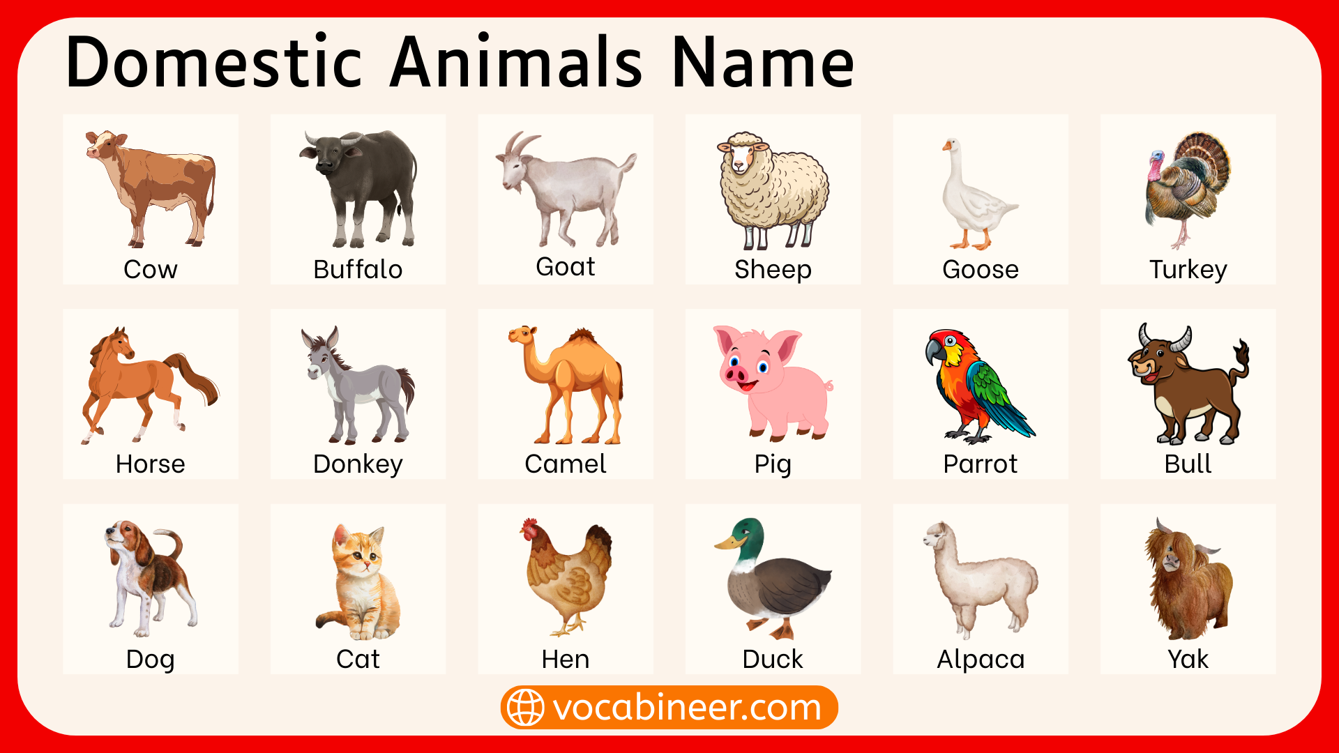 100 Domestic Animals Name in English with Pictures