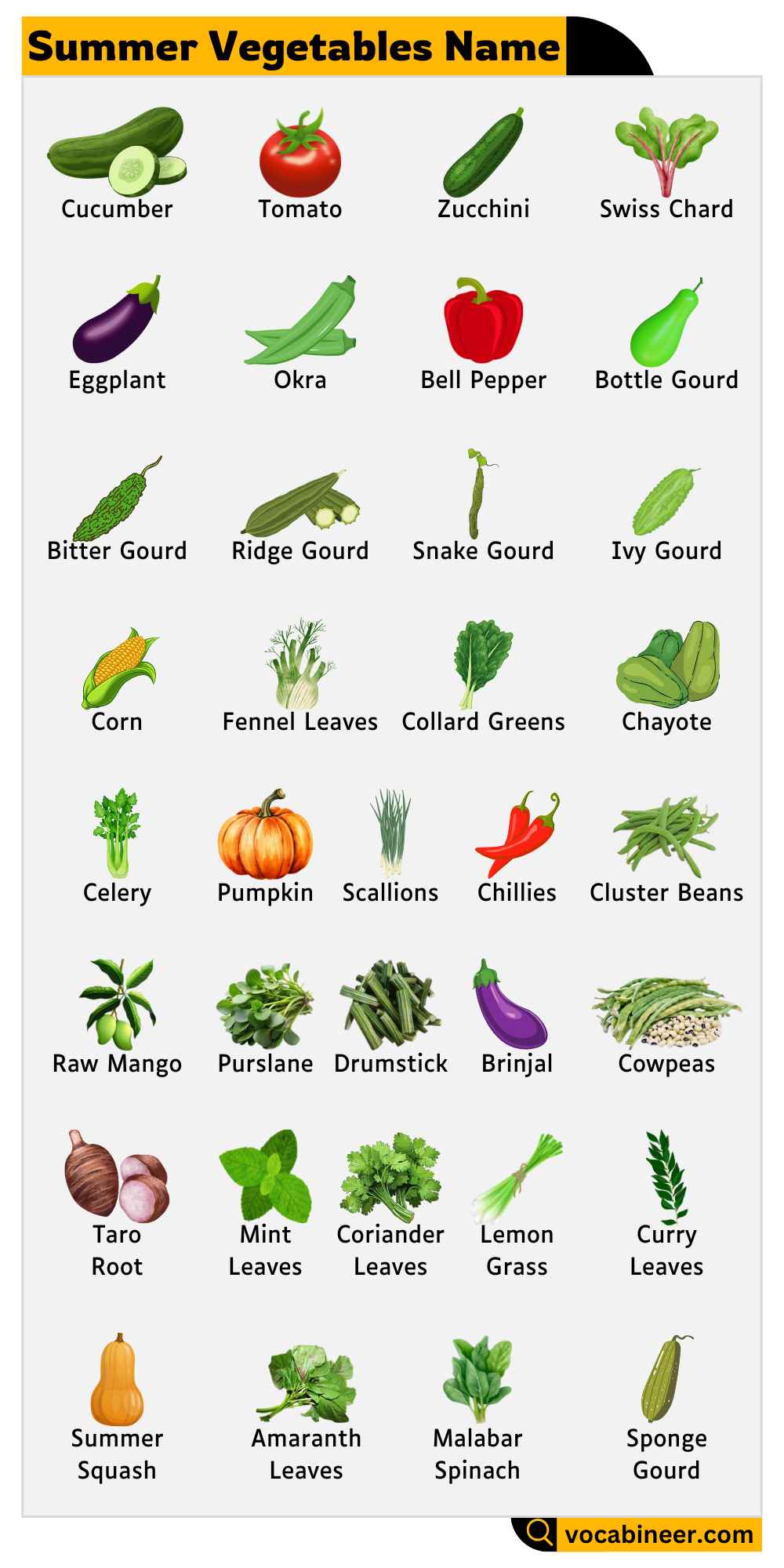 30 Summer Vegetables Name in English with Pictures