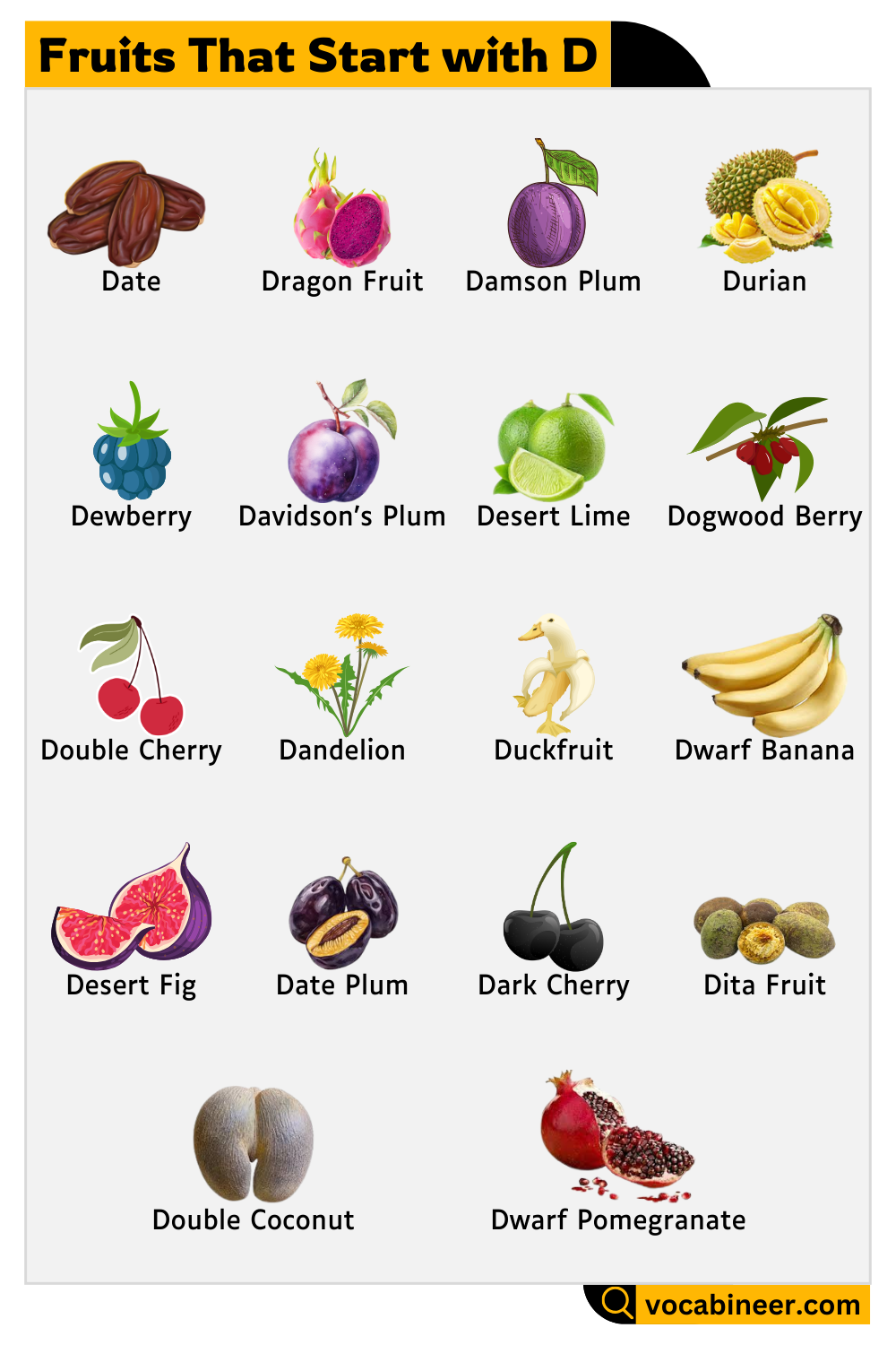 25 Fruits that Start with Letter D