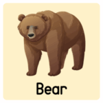 List of 100 Land Animals Name in English with Pictures