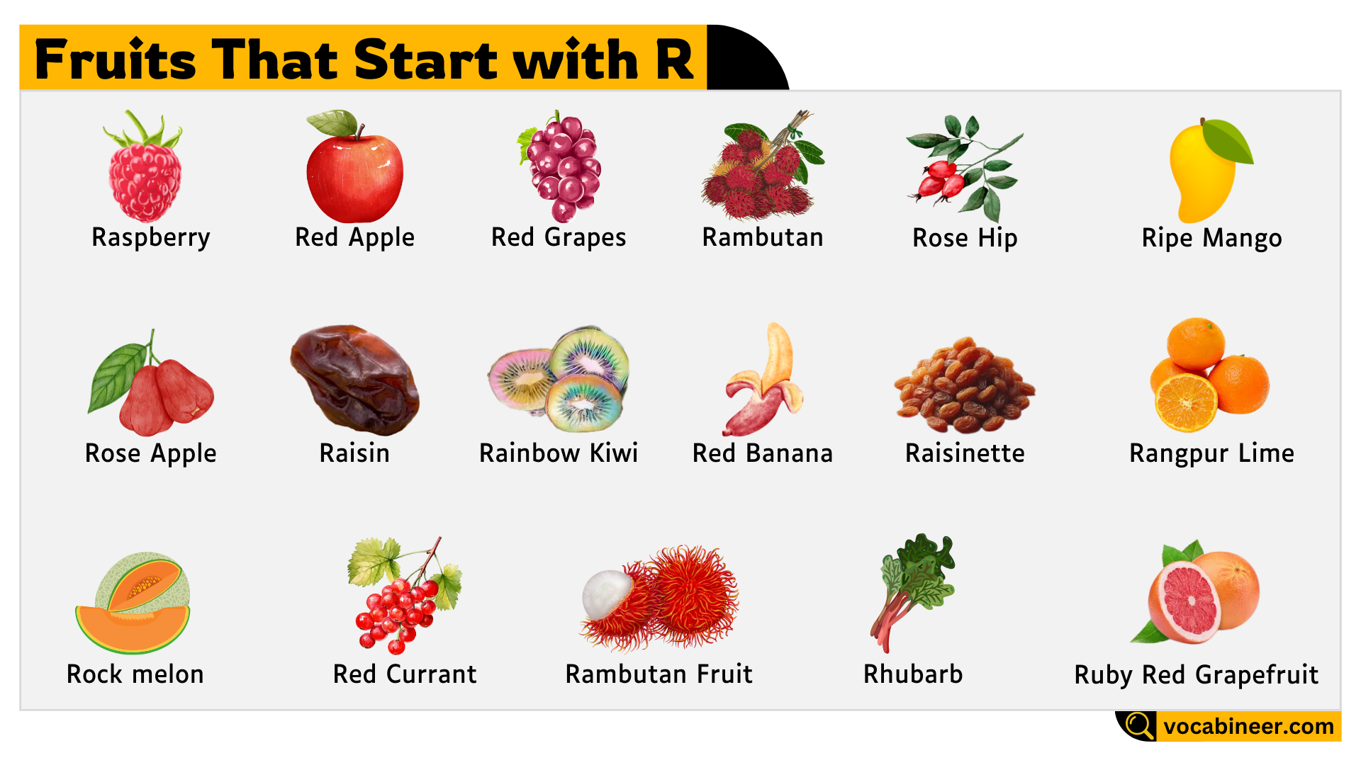 What Are Fruits That Start With The Letter R - Infoupdate.org
