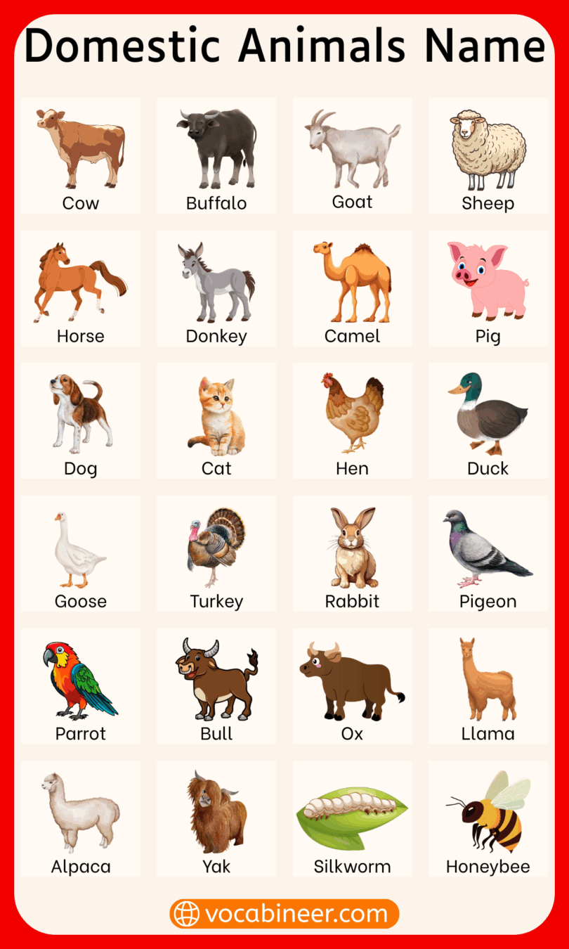 100 Domestic Animals Name in English with Pictures