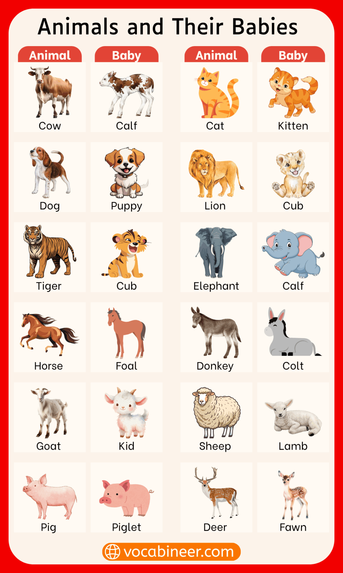 Animals and their Babies Names in English with Pictures