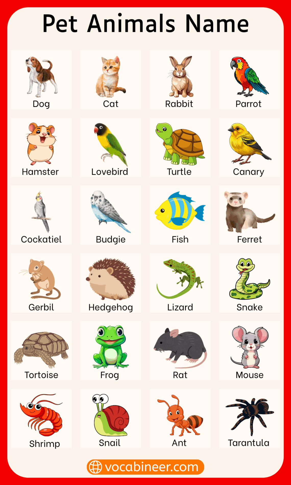 Pet Animals Name List in English with Pictures for Beginners