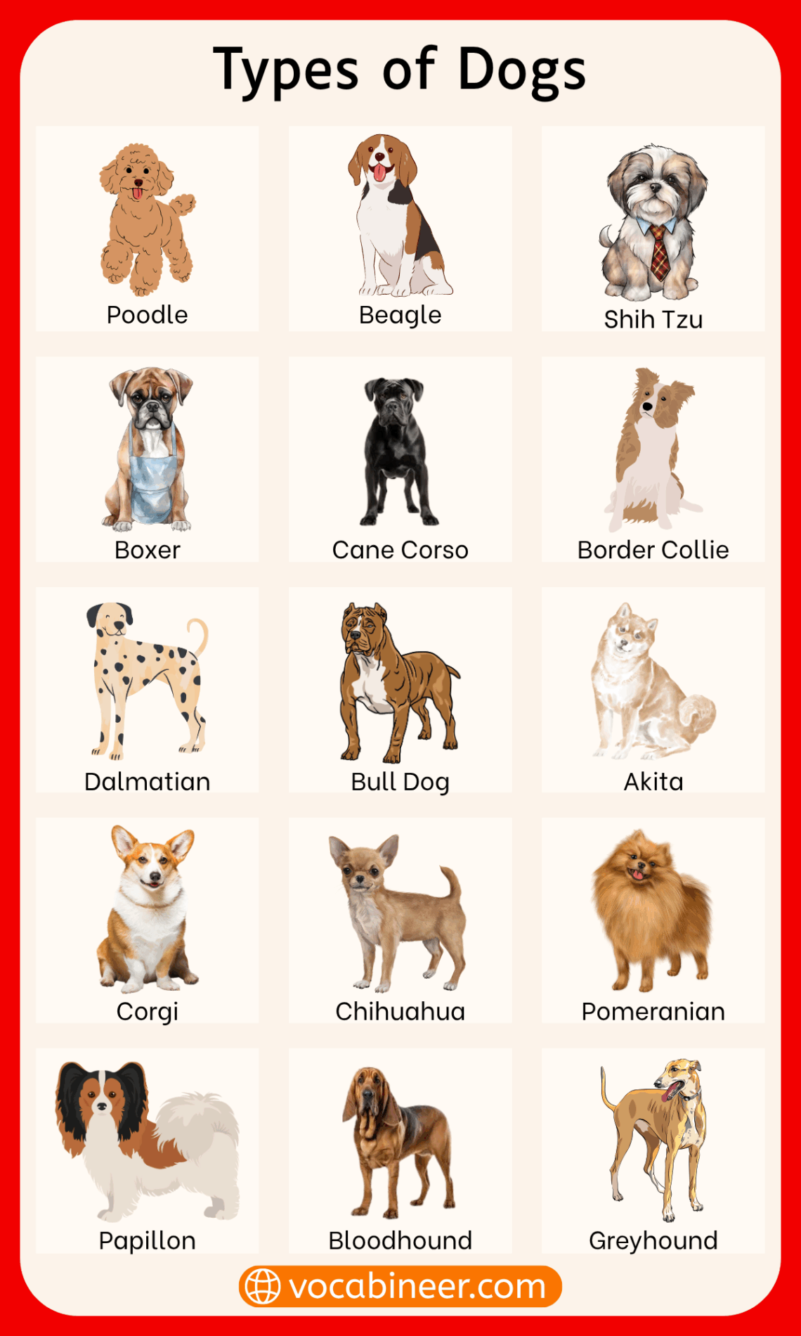 100 Types of Dogs Breed Names with Pictures
