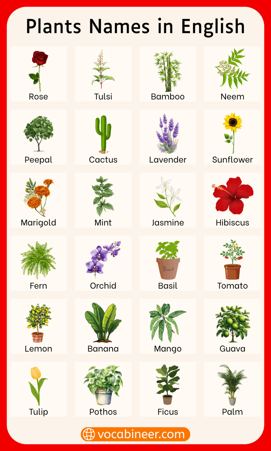 Types of Plants: 100 Plant Names With Pictures