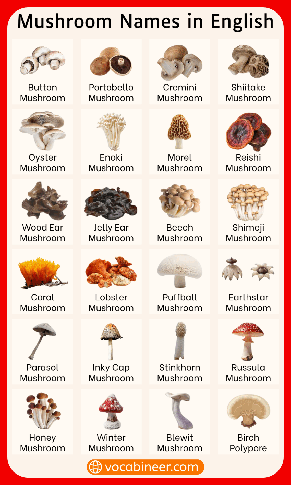100 Common Types of Mushrooms Names with Pictures