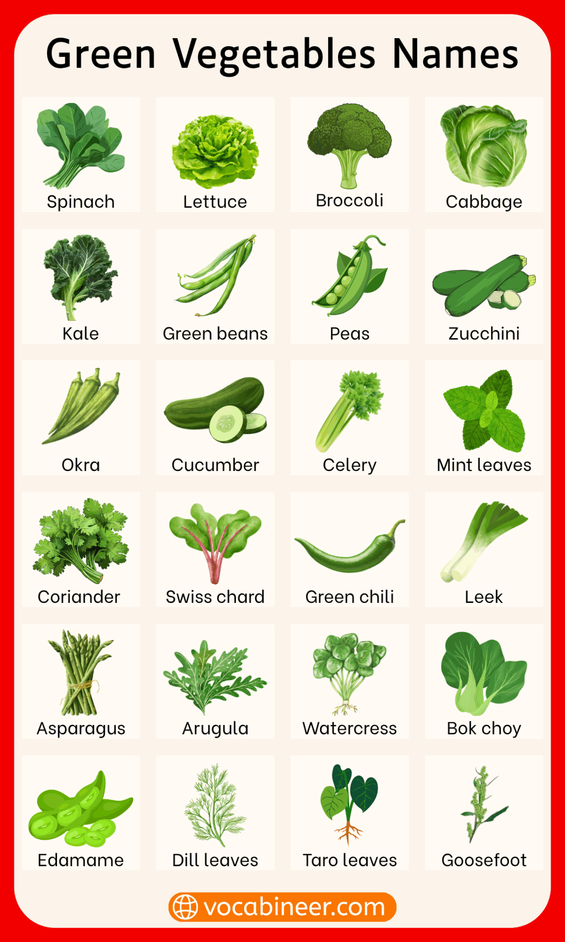 Green Vegetables Names in English with Pictures