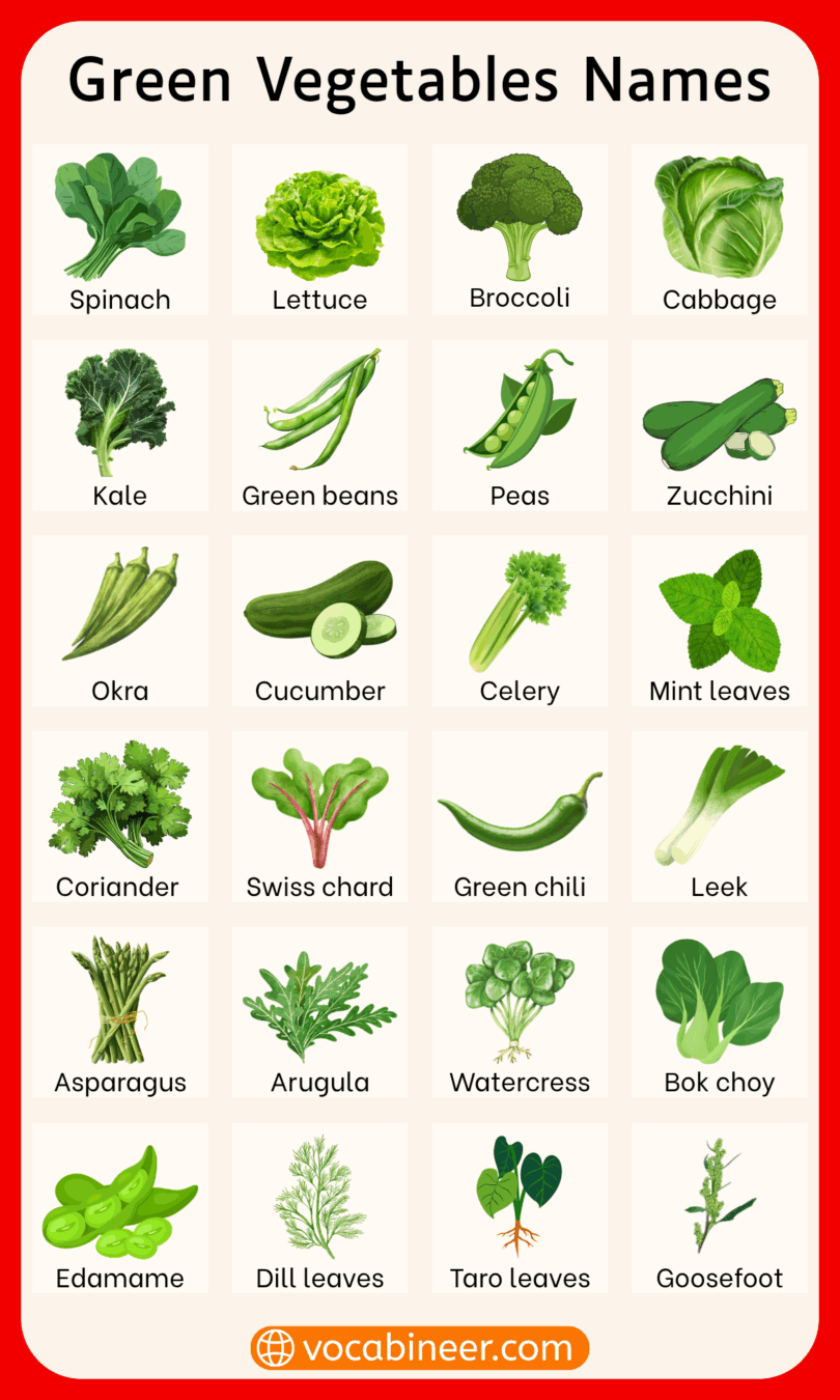 Green Vegetables Names in English with Pictures