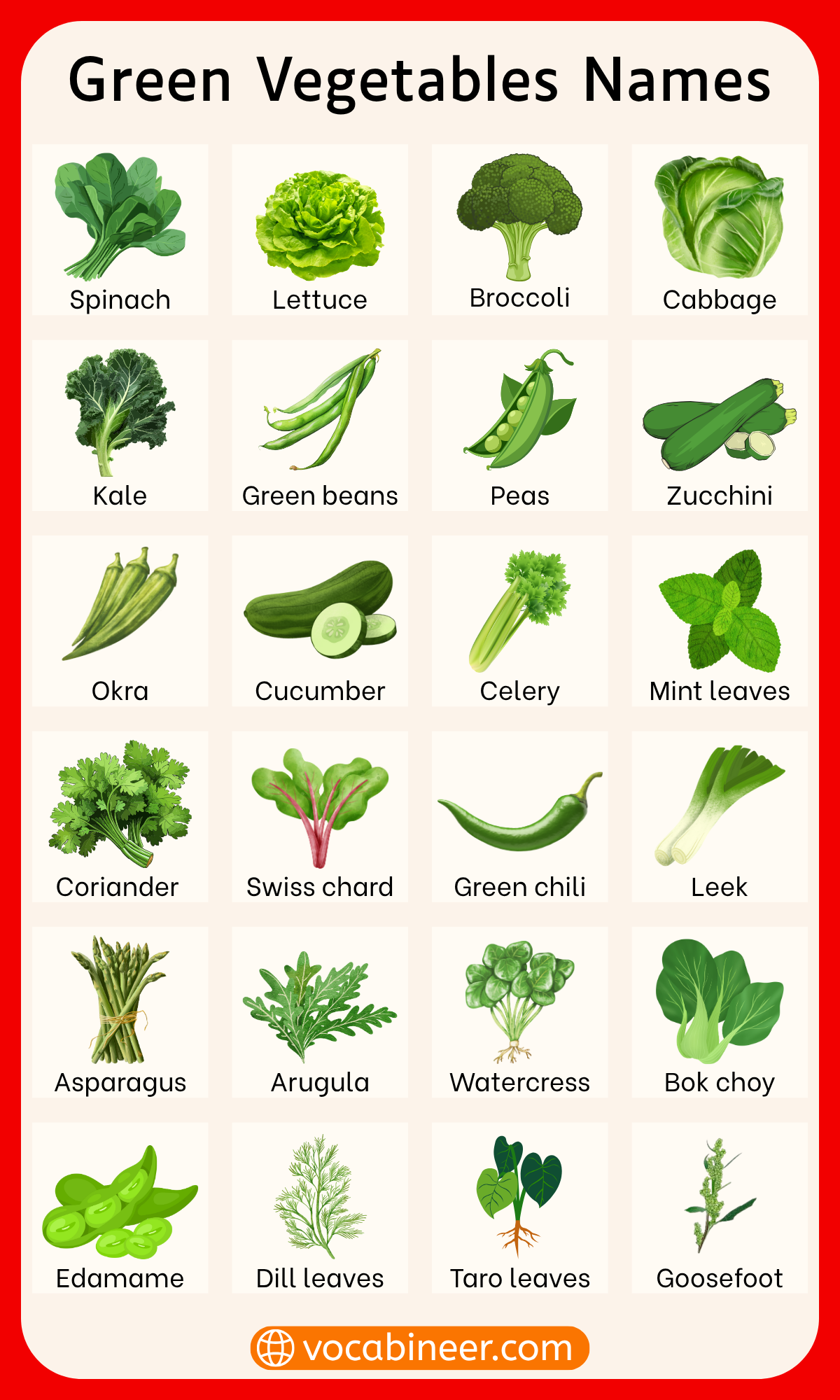 Green Vegetables Names in English with Pictures