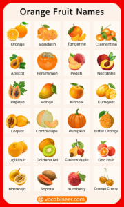 Orange Fruits Names in English with Pictures