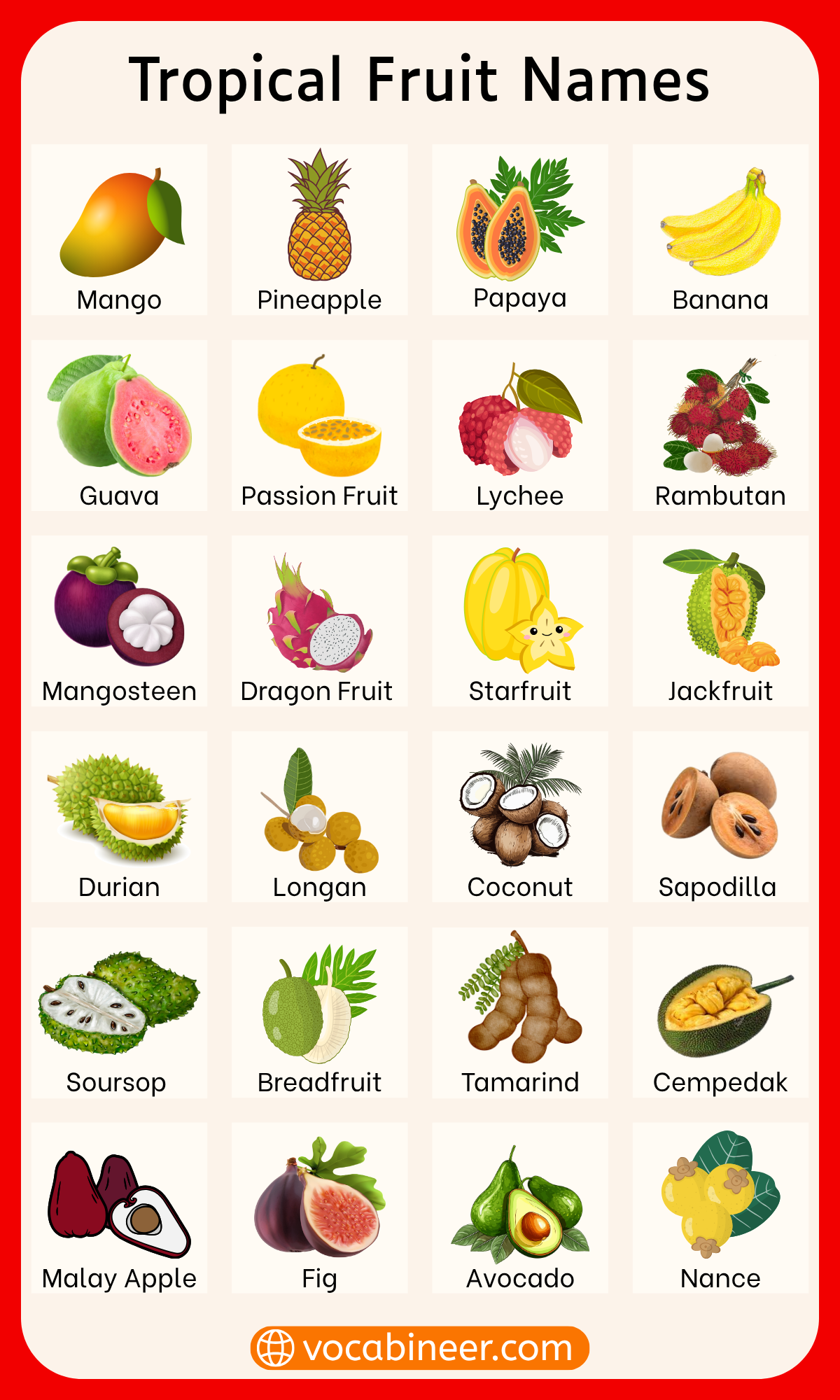 Tropical Fruits Names in English with Pictures