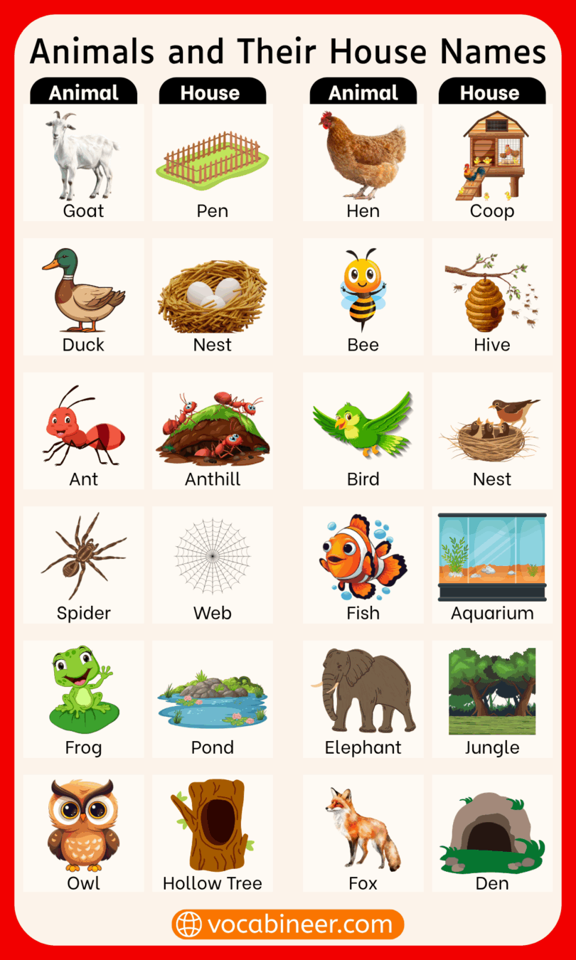 List of Animals and Their Homes Names with Pictures