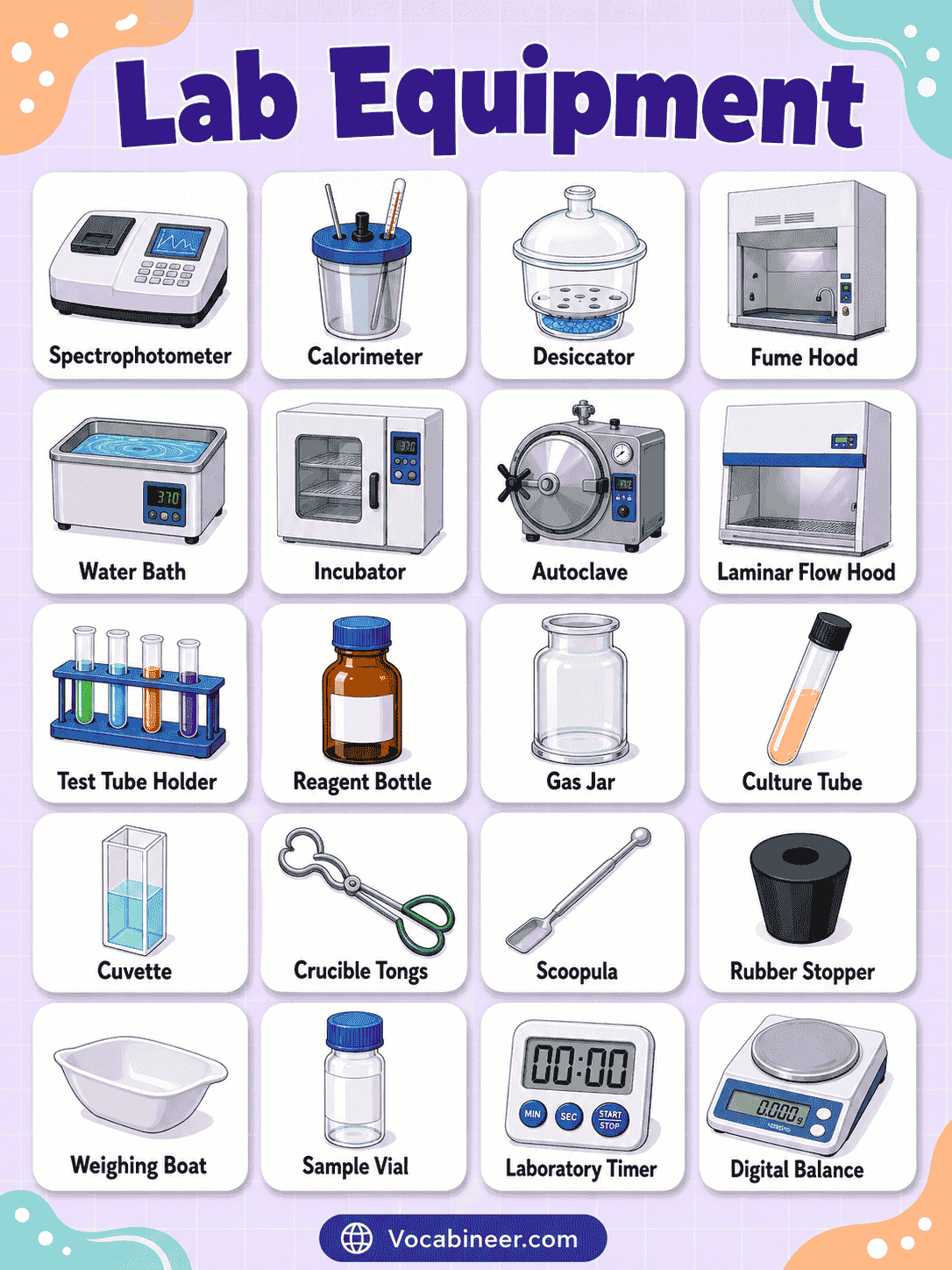 50+ Lab Equipment Names in English with Pictures