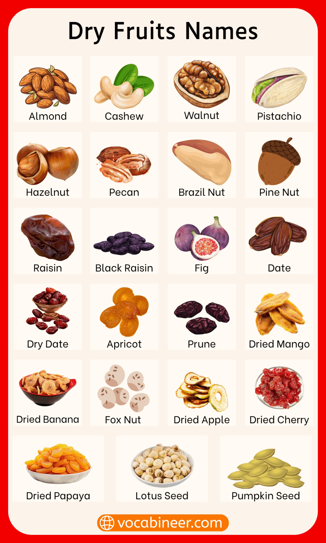 Dry Fruits Names in English with Pictures