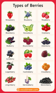 Types of Berries in English with Pictures