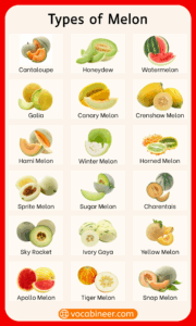 Different Types of Melons with Pictures