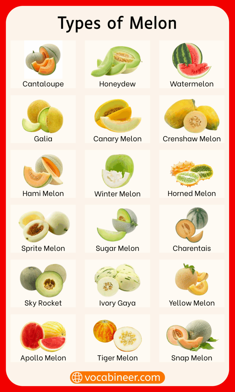 Different Types of Melons with Pictures