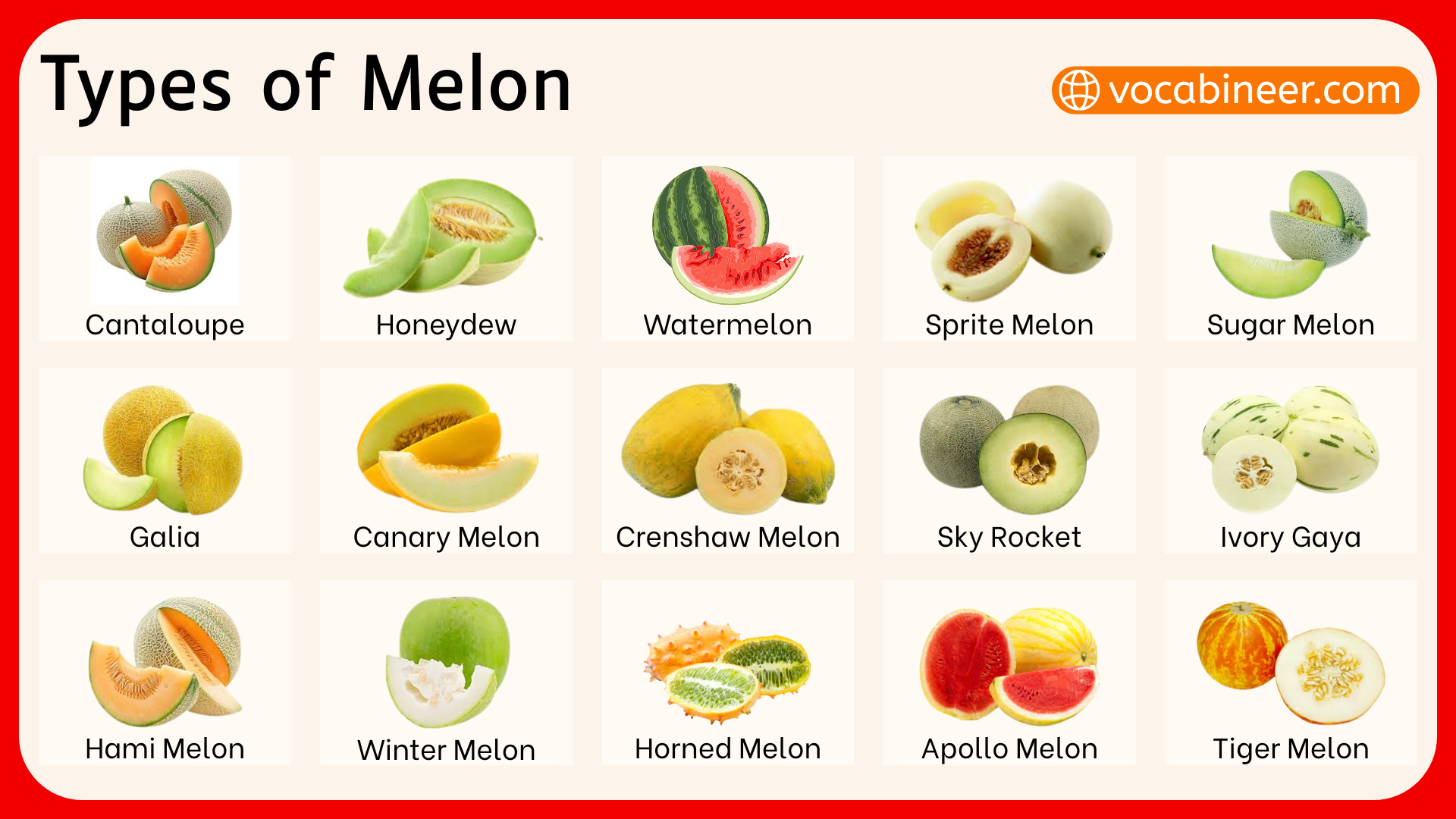 Different Types of Melons with Pictures
