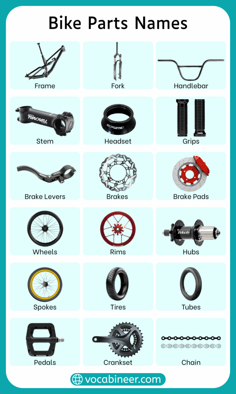 Parts of a Motorcycle - Bike Parts and their Functions Explained