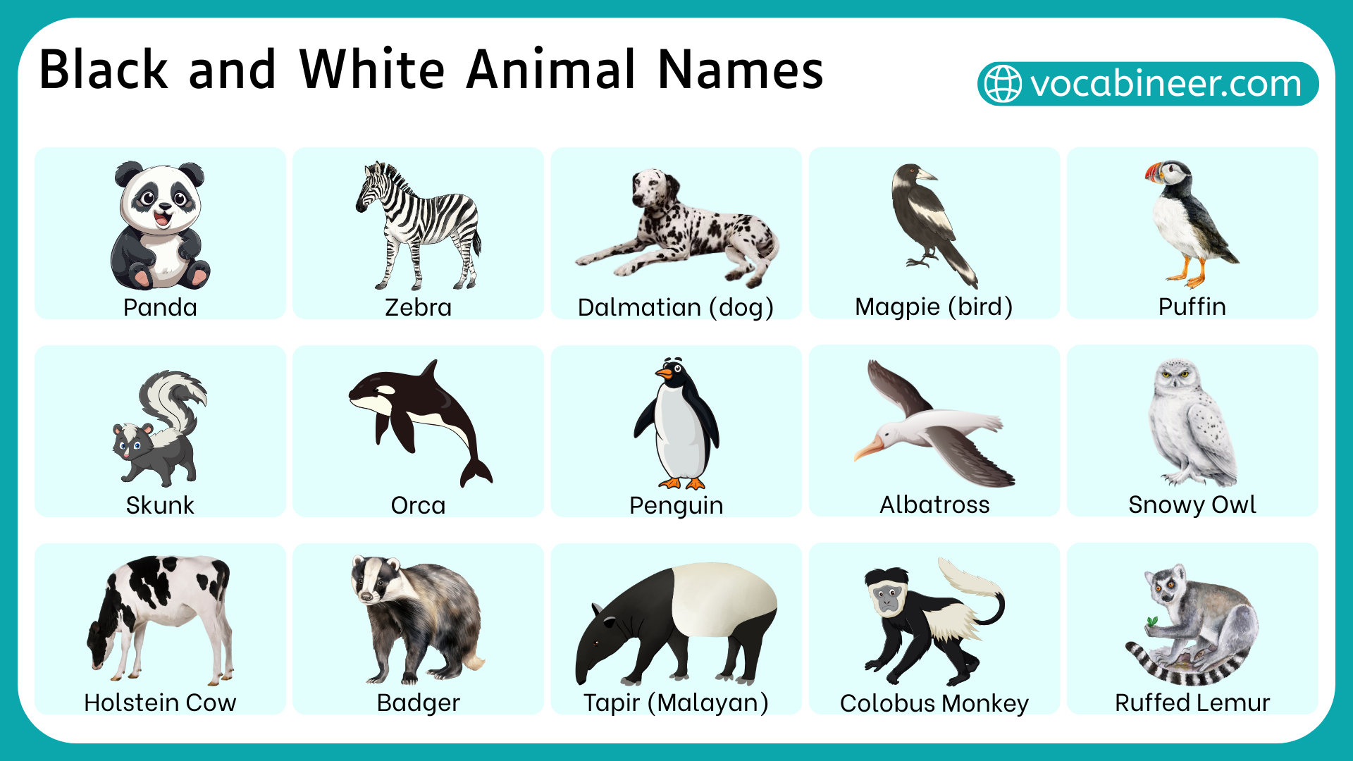 Black and White Animals Names with their Pictures