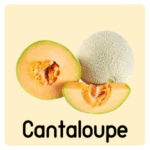 Different Types of Melons with Pictures