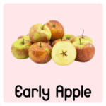 30 Fruits that Start with Letter E