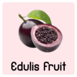 30 Fruits that Start with Letter E