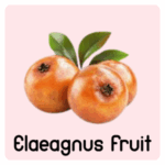 30 Fruits that Start with Letter E