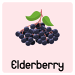30 Fruits that Start with Letter E