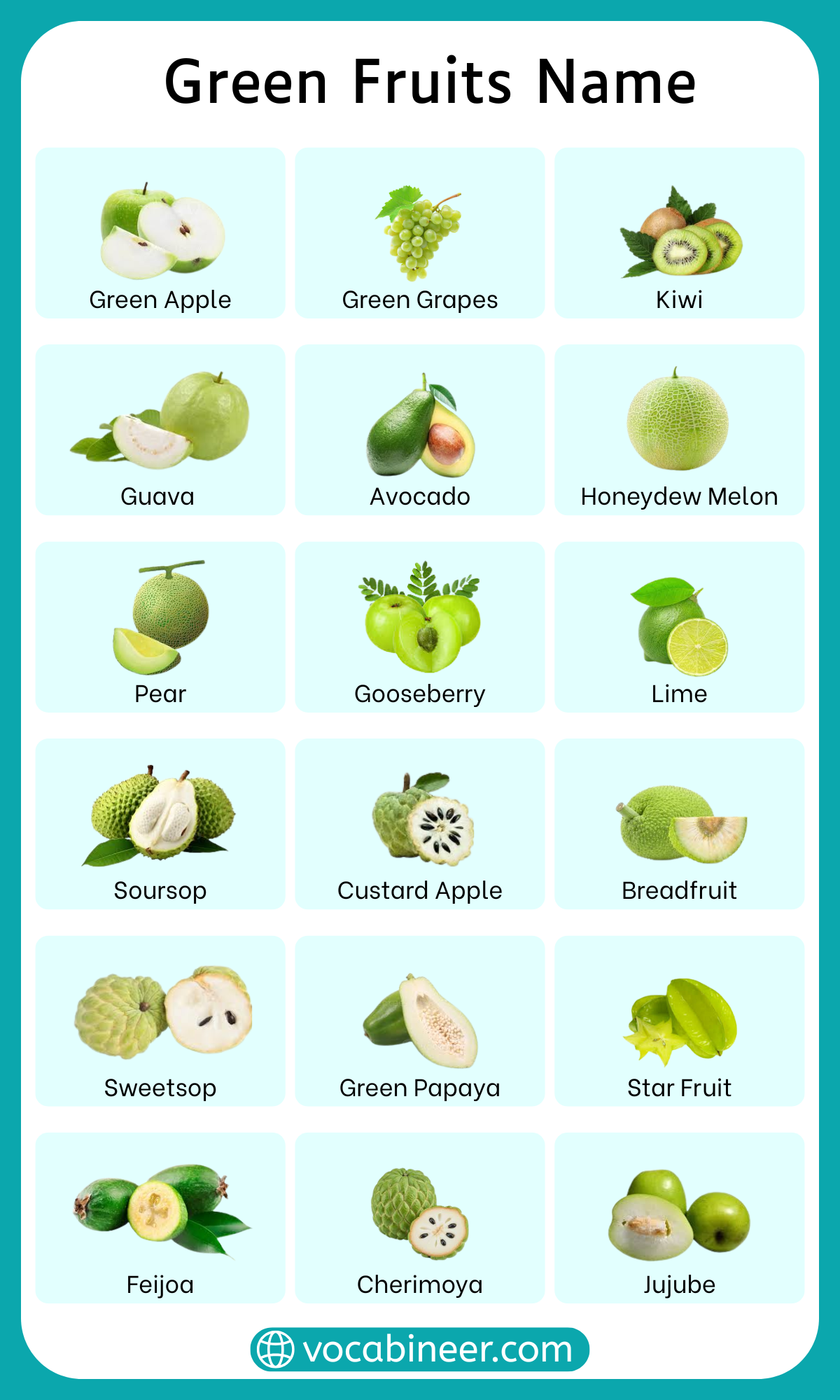 40 Green Fruits Name in English with Pictures