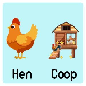 List of Animals and Their Homes Names with Pictures