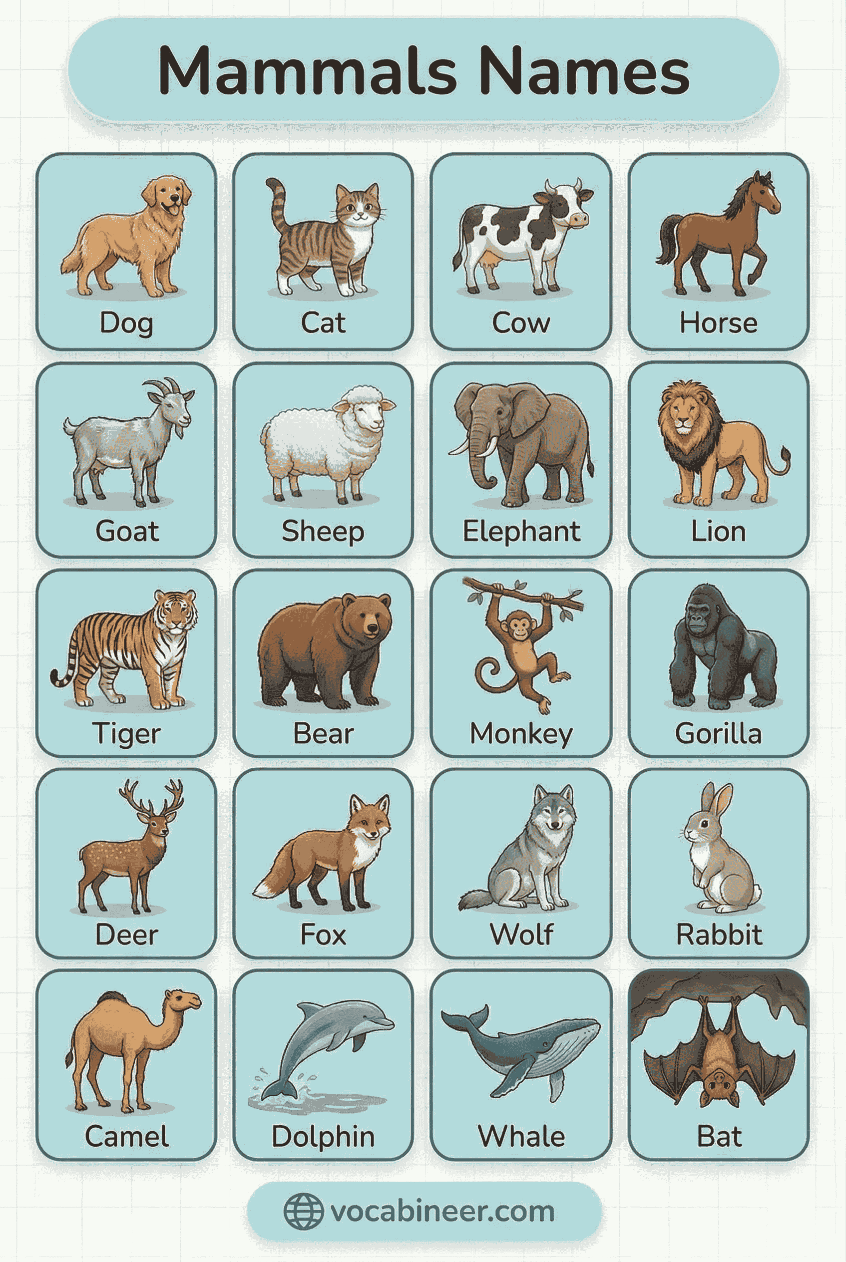 Mammal Animals Name: List of 90 Animals with their Pictures