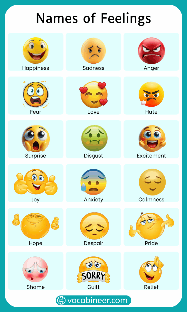 Types of Feelings and Emotions in English with Pictures