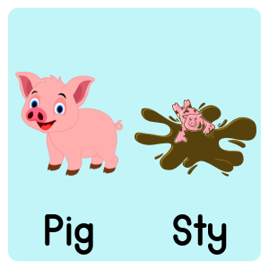 List of Animals and Their Homes Names with Pictures