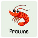 Seafood Names List in English with Pictures