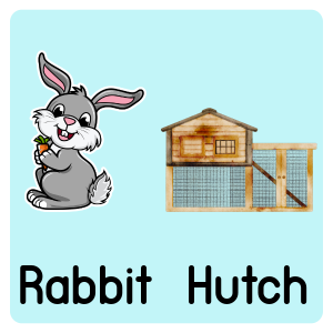 List of Animals and Their Homes Names with Pictures