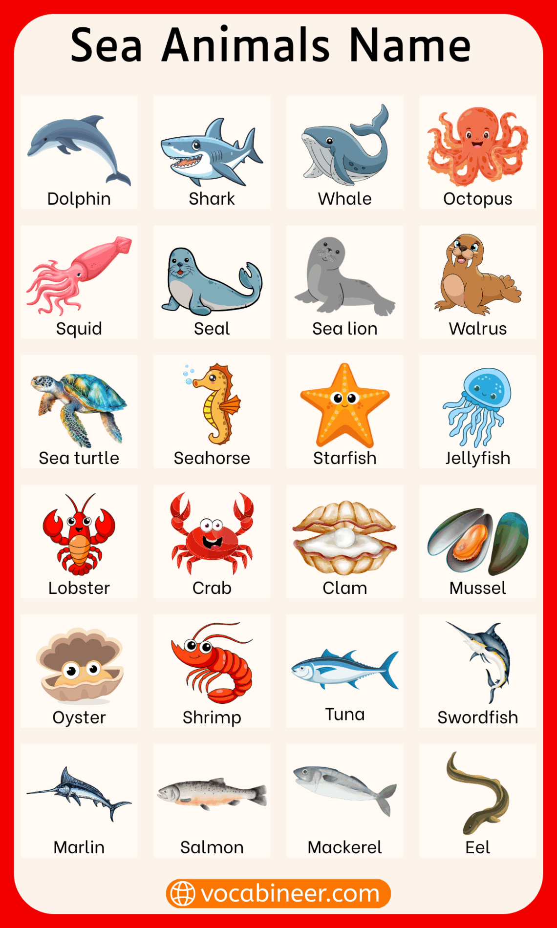 50+ Sea Animals Names in English with Pictures Complete List