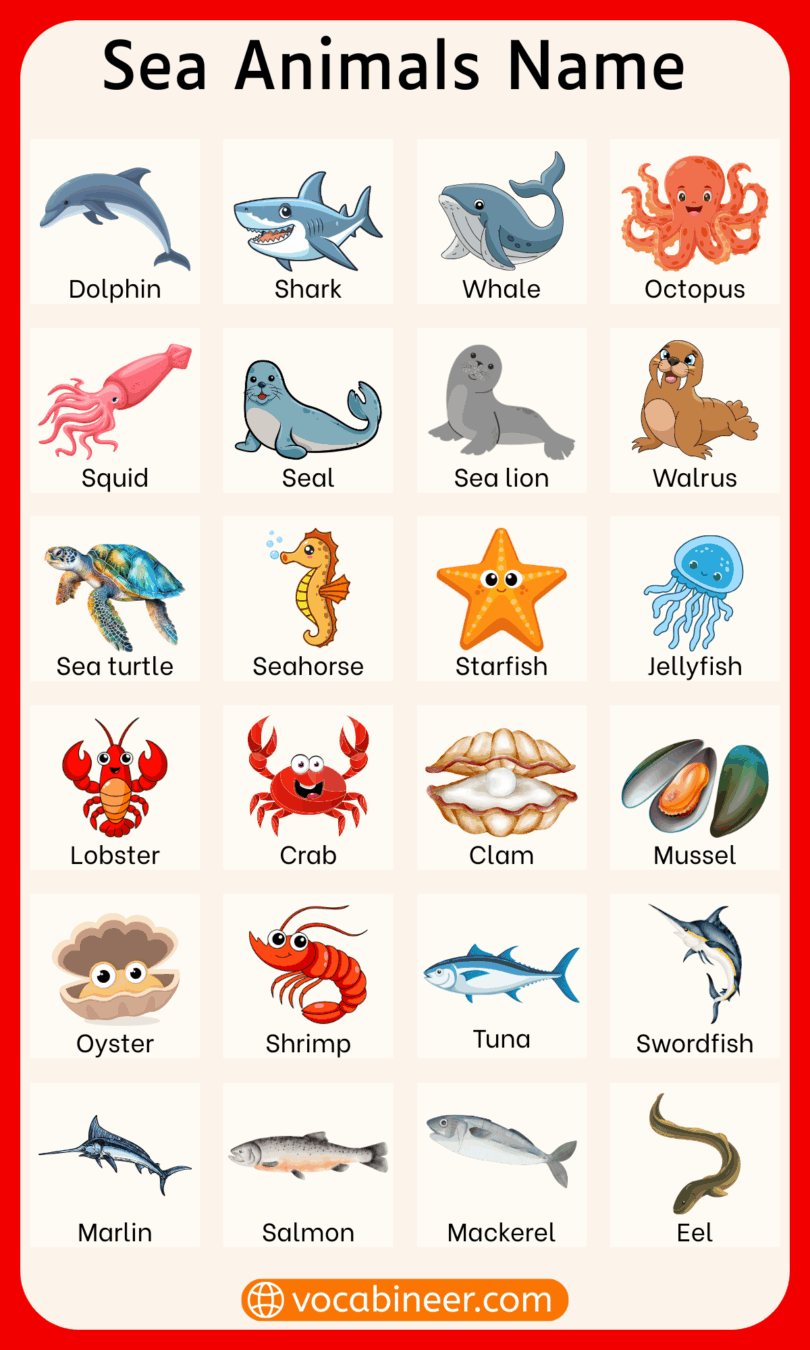 50+ Sea Animals Names in English with Pictures Complete List