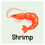 Seafood Names List in English with Pictures