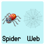 List of Animals and Their Homes Names with Pictures